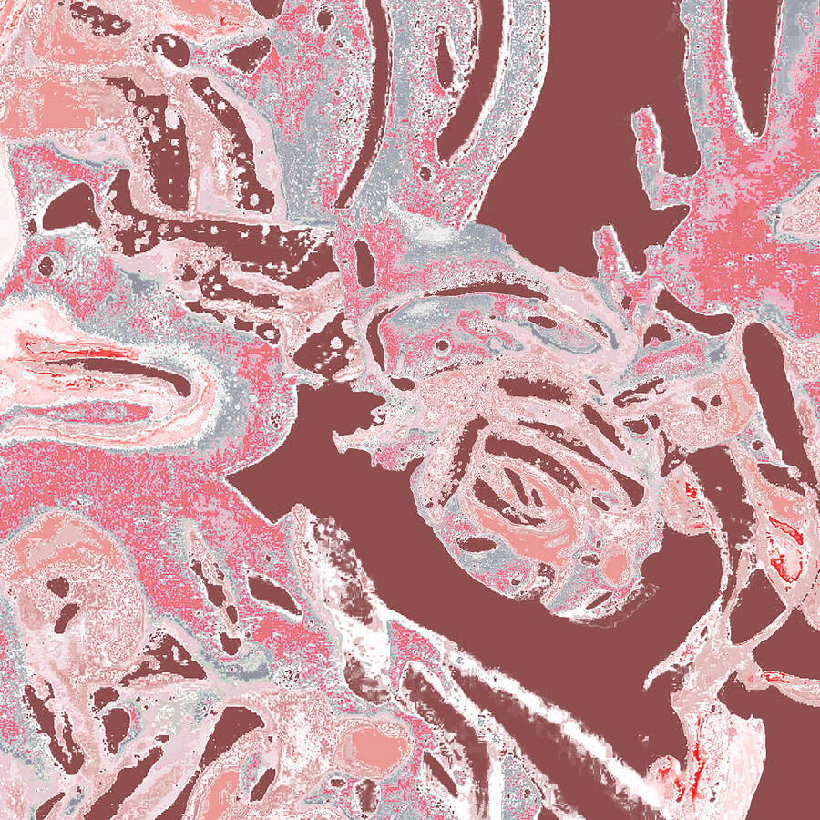 Rhythm Cha Cha Fabric | Iona Crawford