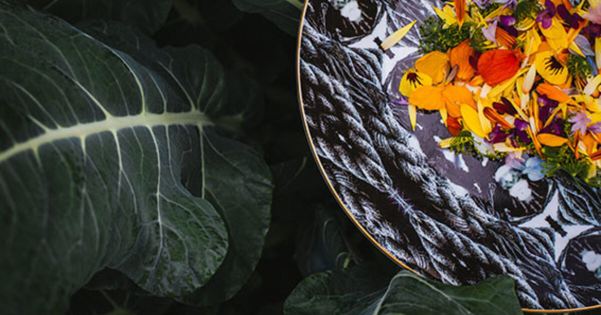 Ceramics | Iona Crawford